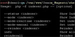 Running Magento indexer from command line (shell) | Techawaken